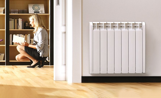 Convector element. What type of radiator is it? | Terry Love Plumbing ...